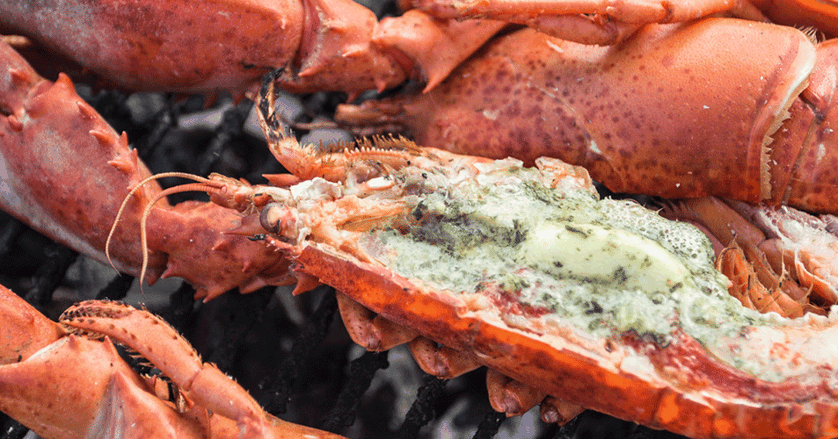 Grillet hummer med urtesmør | Norsk cøliakiforening